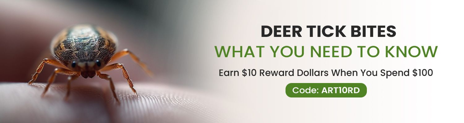 Tick Bites - Diseases, Prevention, & Treatment