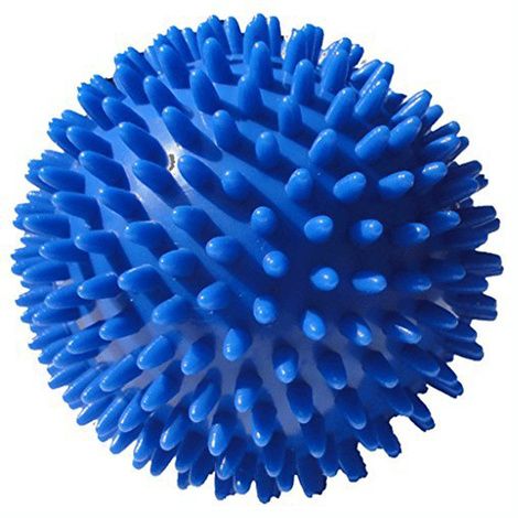 Order FitBALL Physical Therapy Spiky Ball | Spiky Balls